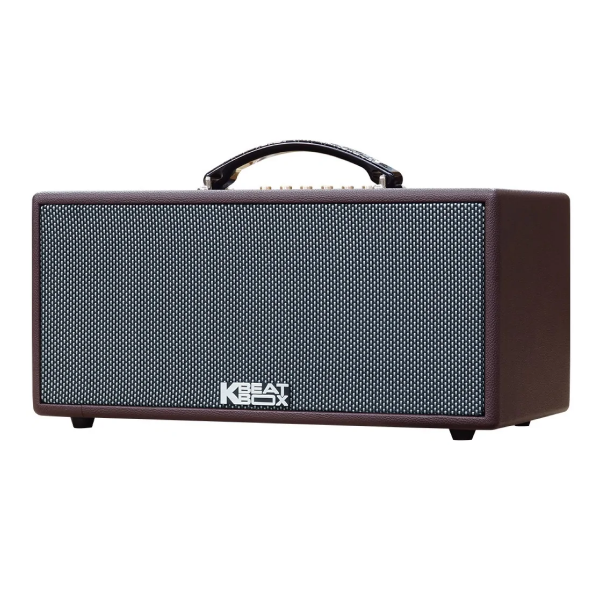 Loa Di Động ACNOS CS366 PLUS | SAIGON HD